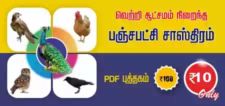 Panjapatchi Sasthiram | Pancha Pakshi Shastra
